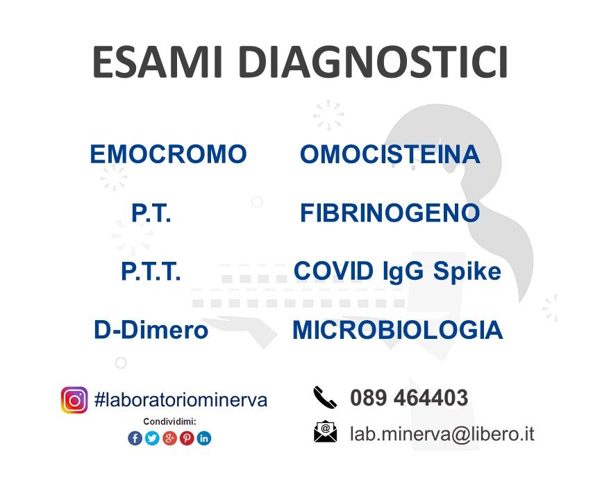 Analisi del Sangue - La Guida Completa - Analisi Minerva Analisi del Sangue - La Guida Completa - Analisi Minerva